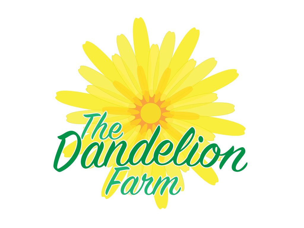 The Dandelion Farm & Relaxation Spa | The Dandelion Farm